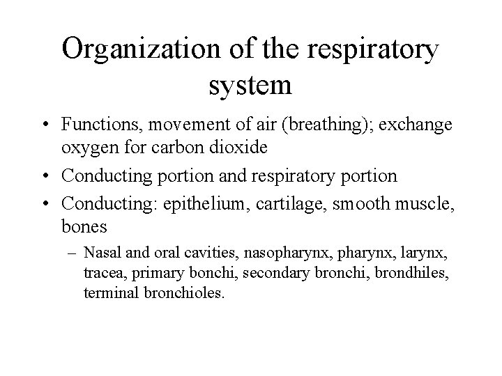 Respiratory System nasal cavity Primary Bronchi bronchioles alveoli