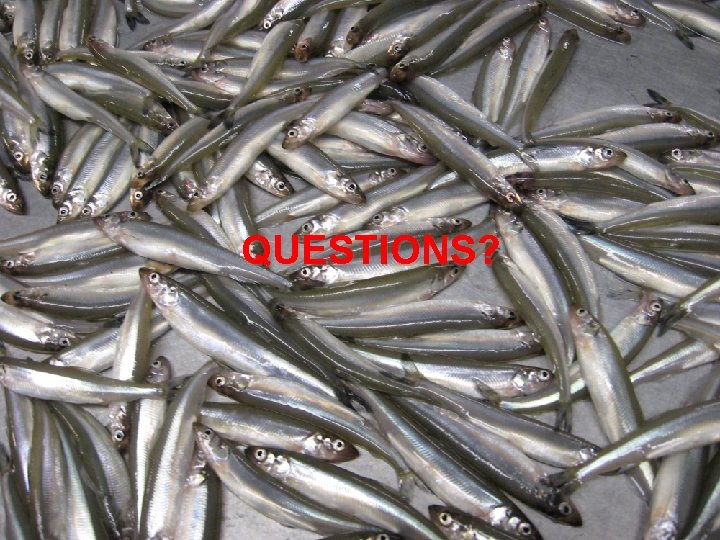 Relative Abundance of Invasive Fish Species in Ontario