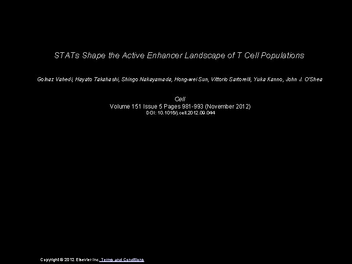 STATs Shape the Active Enhancer Landscape of T