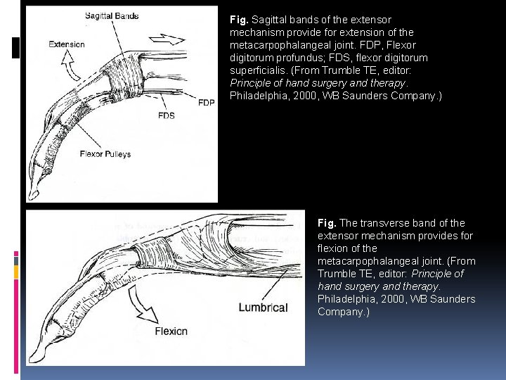 INJURIES AND DISEASES OF HAND WRIST SuYang Hwa