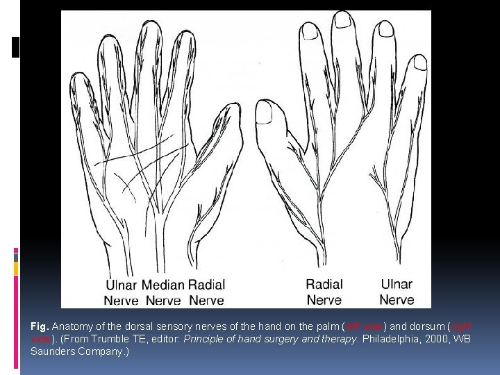 INJURIES AND DISEASES OF HAND WRIST SuYang Hwa