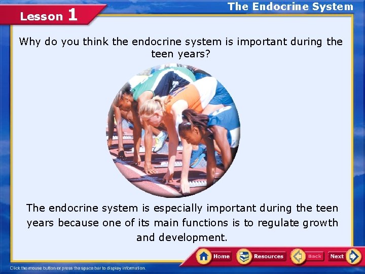 Lesson 1 The Endocrine System Why do you
