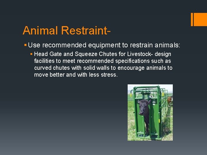 Animal Husbandry Objective 6 02 Understand animal husbandry