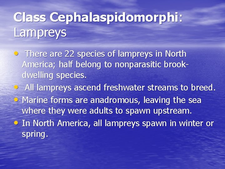 Chapter 24 Fishes Copyright The Mc GrawHill Companies