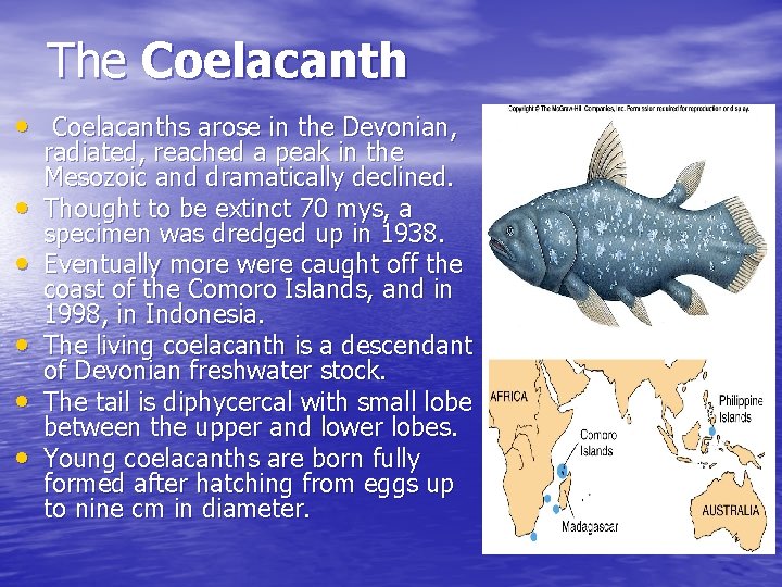 Chapter 24 Fishes Copyright The Mc GrawHill Companies