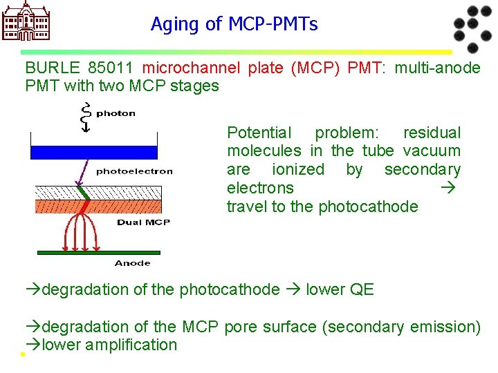 Aging tests of MCP PMTs and MAPMTs Peter