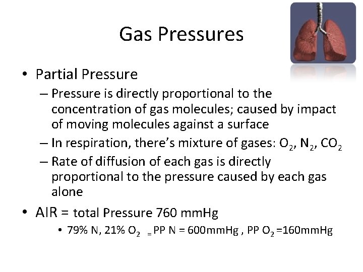 Pulmonary Gas Exchange and Gas Transport Dr Megangela