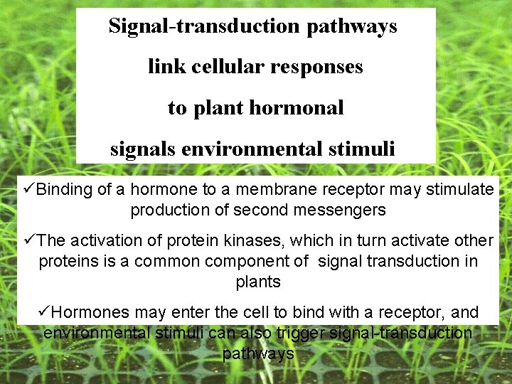 Signal Transduction Pathways Signal Transduction Pathways link cellular