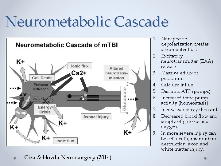 Mild Traumatic Brain Injury Symptomfocused Treatment of Persisting