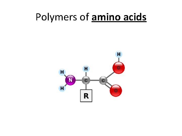 PROTEINS BUILT BY INSTRUCTIONS FOUND IN DNA GENE