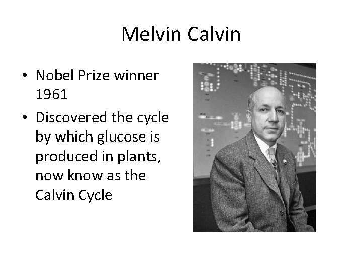 More than you ever wanted to know about