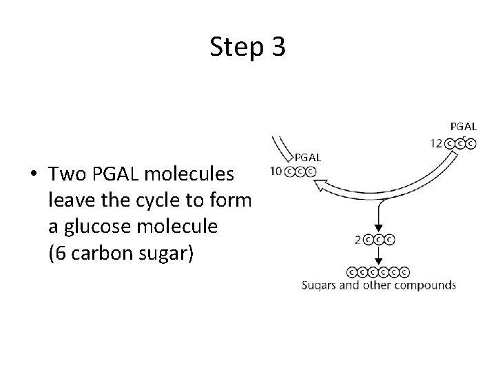 More than you ever wanted to know about