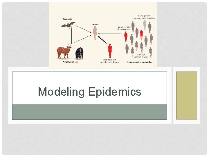 Modeling Epidemics Goals Understand the dynamics of an