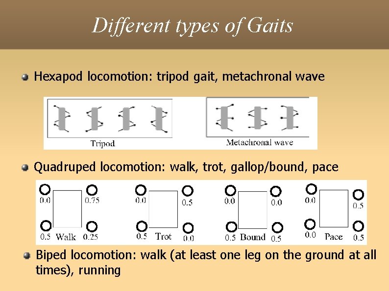 CPGbased LOCOMOTION Robotics Course Lesson 23 Legged Robot