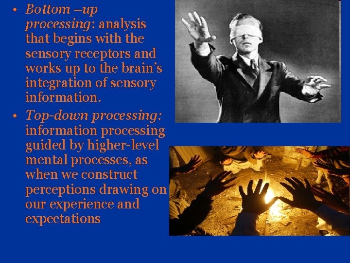 Unit 4 Sensation Perception Attention Adaptations Sensing the