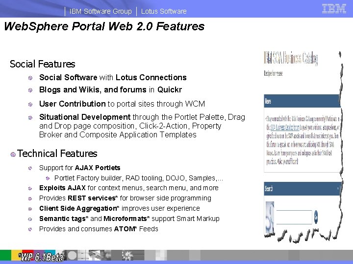 IBM Software Group Lotus Software IBM Web Sphere