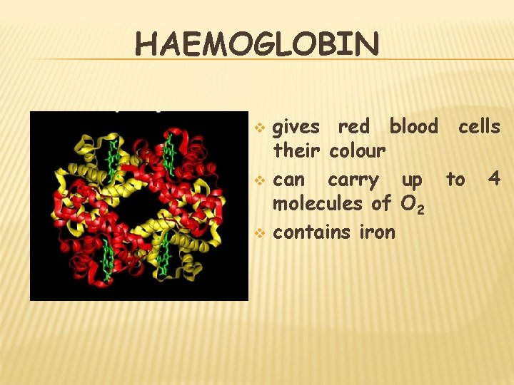 Blood The average human has 5 litres of