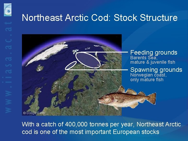 The Overlooked Evolutionary Dimension of Modern Fisheries Ulf