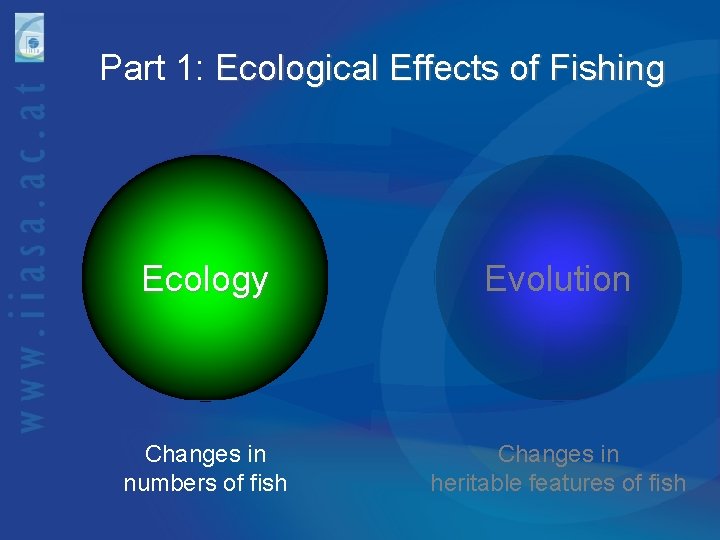 The Overlooked Evolutionary Dimension of Modern Fisheries Ulf