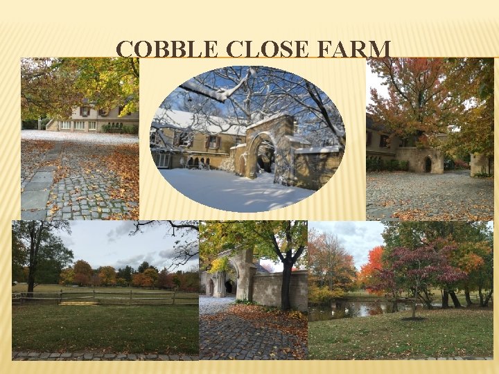 COBBLE CLOSE FARM 310 Cooper Rd Red Bank