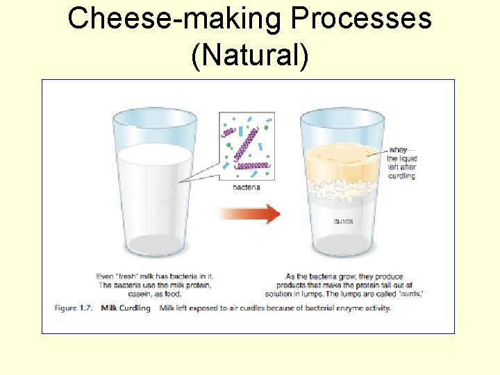 History of Cheese Making It is possible that