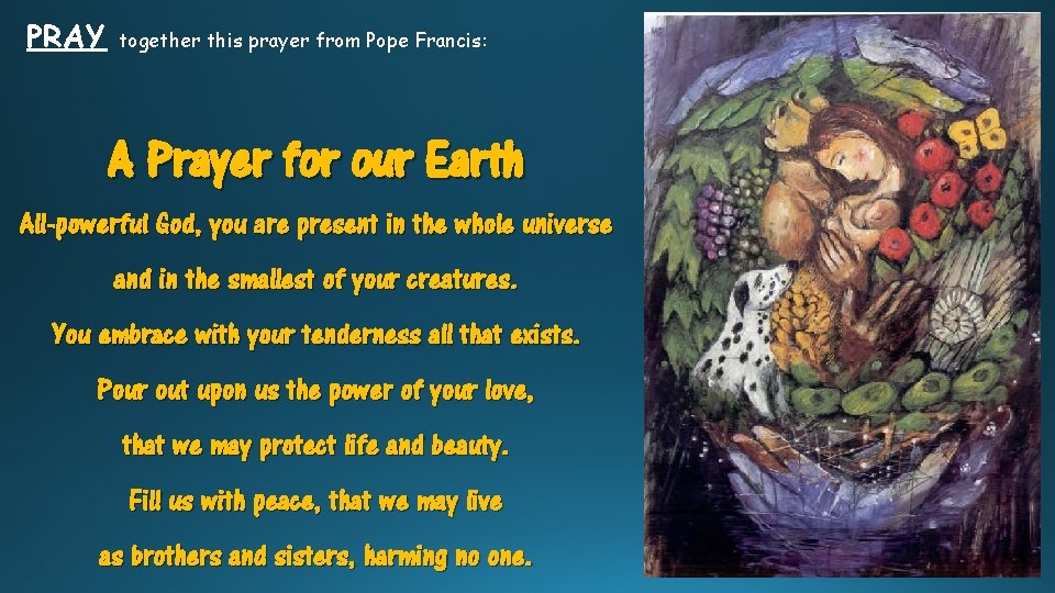 Catholic Schools Office Diocese of Auckland New Zealand