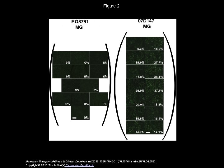 An Isolated Limb Infusion Method Allows for Broad