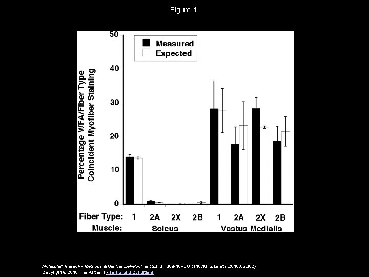 An Isolated Limb Infusion Method Allows for Broad