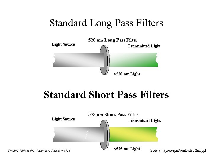 Lecture 2 The Principles of Microscopy BMS 524