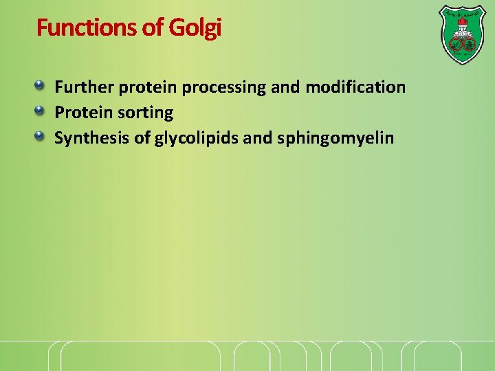 Lecture 3 Protein sorting Golgi apparatus and vesicular