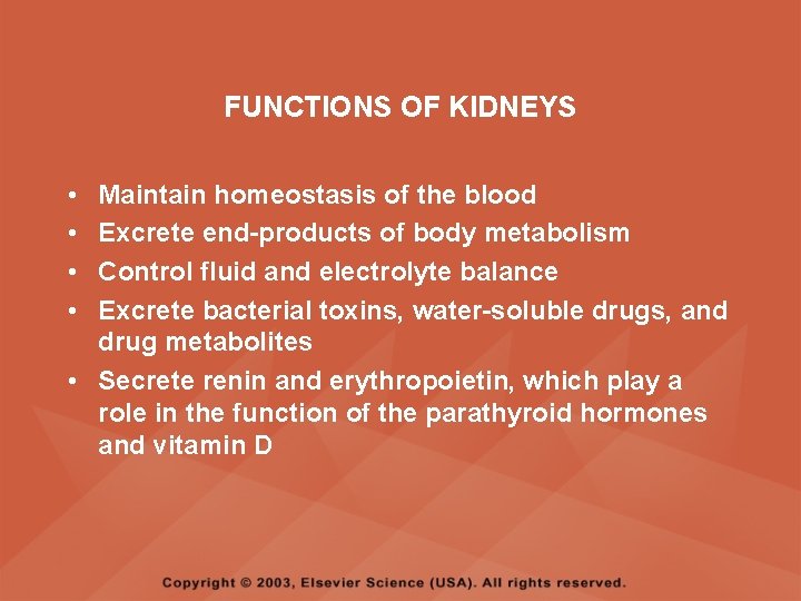 RENAL SYSTEM ANATOMY AND PHYSIOLOGY PYRAMID POINTS Functions