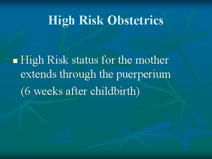 HIGH RISK OBSTETRICS NUR 202 Mary Starkey Wallace