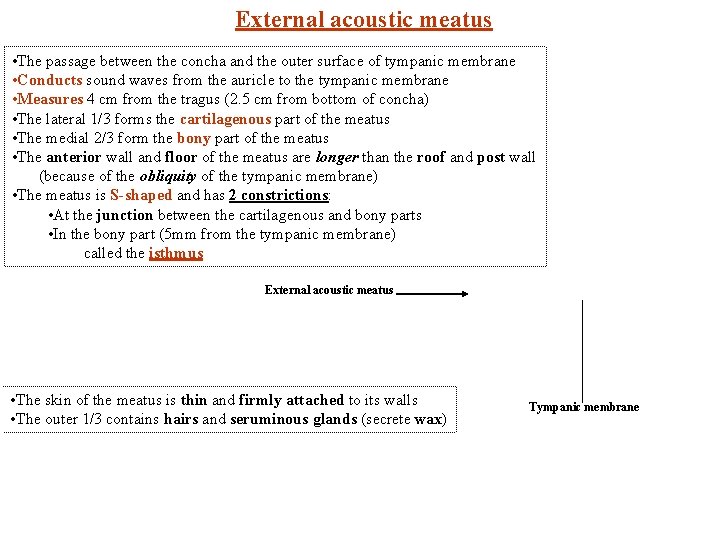 ANATOMY OF THE EAR The organ of hearing