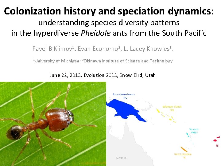 Colonization history and speciation dynamics understanding species ...