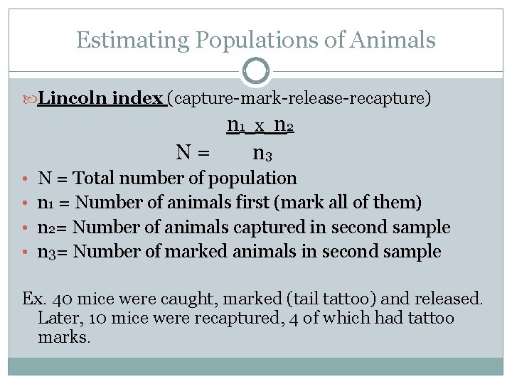2 5 Investigating Ecosystems Review Zonation and Succession