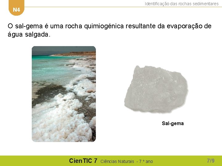 N 4 Identificao das rochas sedimentares Cien TIC