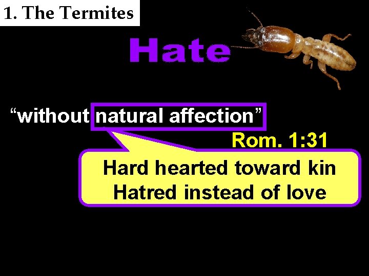 Termites of the Christian Home Gen 1 27