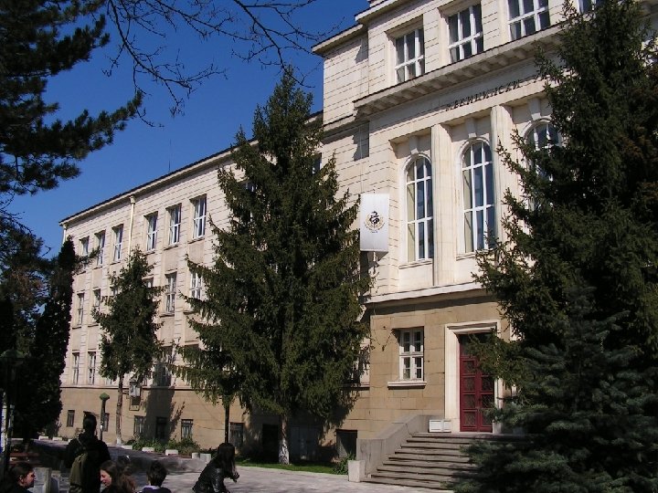 MEDICAL UNIVERSITY PLEVEN FACULTY OF PUBLIC HEALTH DEAN