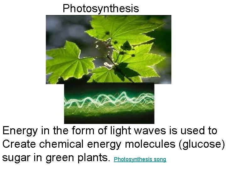 Photosynthesis Energy in the form of light waves