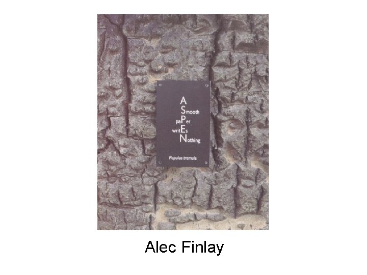 WORDS IN THE WORLD text in public art