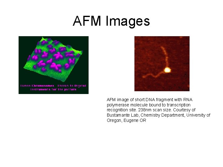 Scanning Probe Microscopy Binnig Rohrer Nobel prize 1986