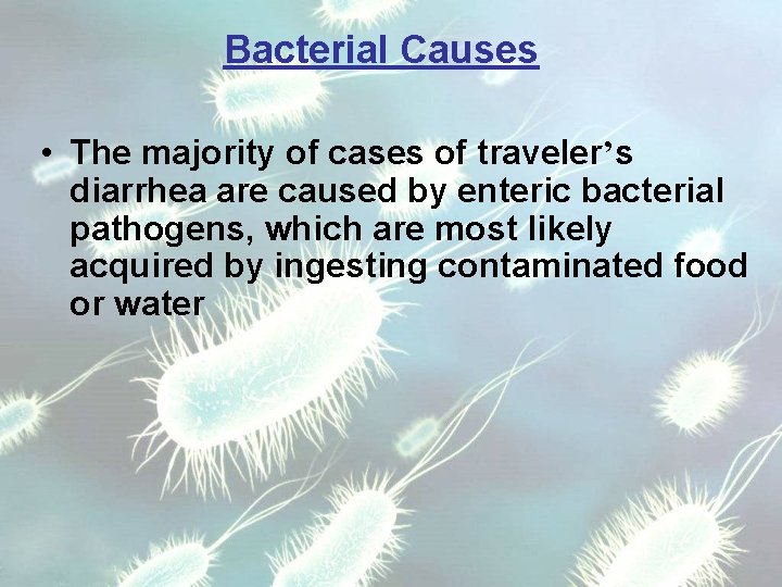 Survival of Selected Bacteria Causing Travelers Diarrhea in