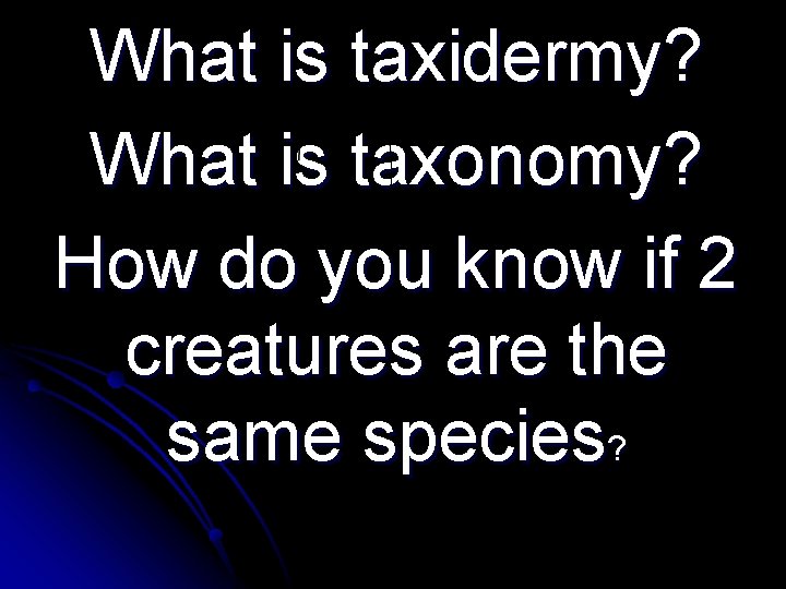Classification What is taxidermy What is taxonomy How