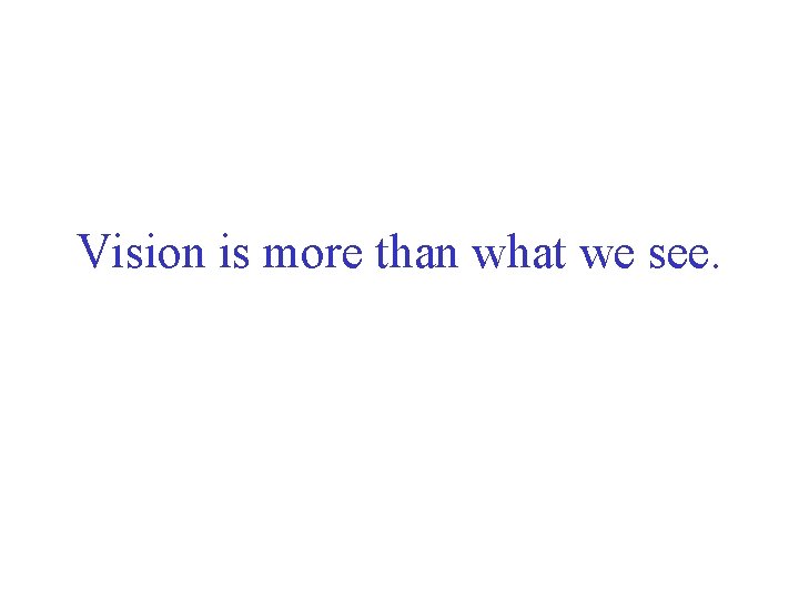 Vision is more than what we see Karl