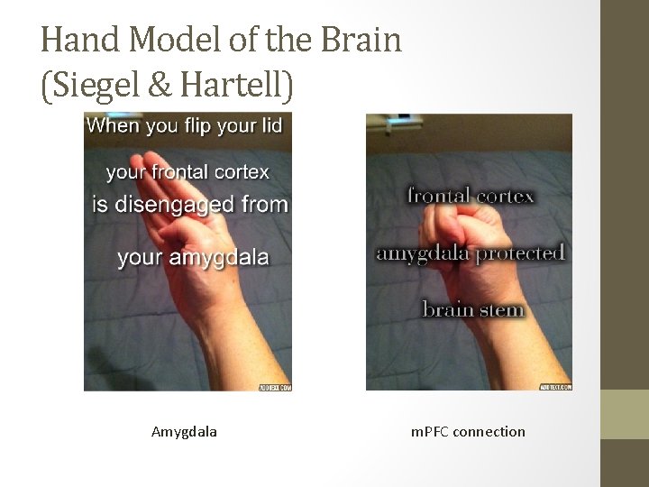 Anxiety and Couples Escaping Intimacy Instead of Vulnerability