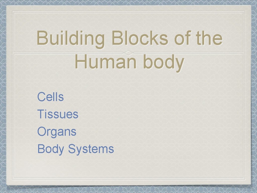 Anatomy Physiology An amazing eco system and miracle
