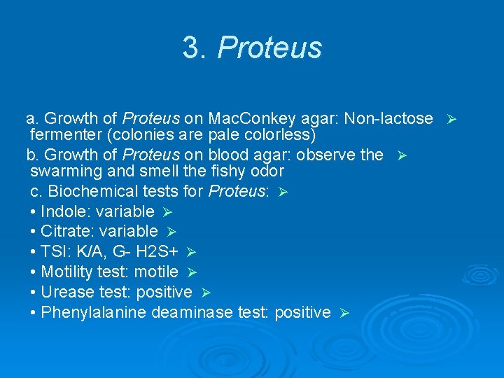 NonLactose Fermentors Salmonella Shigella Proteus Salmonella 1 Salmonella