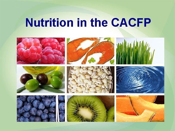 Nutrition in the CACFP Health of Wisconsins Children