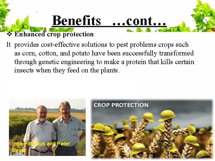 Use of Biotechnology in Agriculture Benefits and Risks