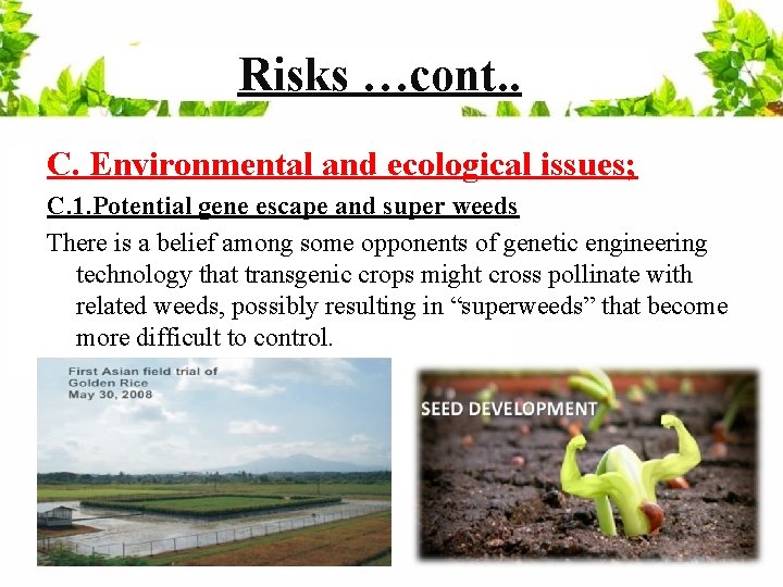 Use of Biotechnology in Agriculture Benefits and Risks